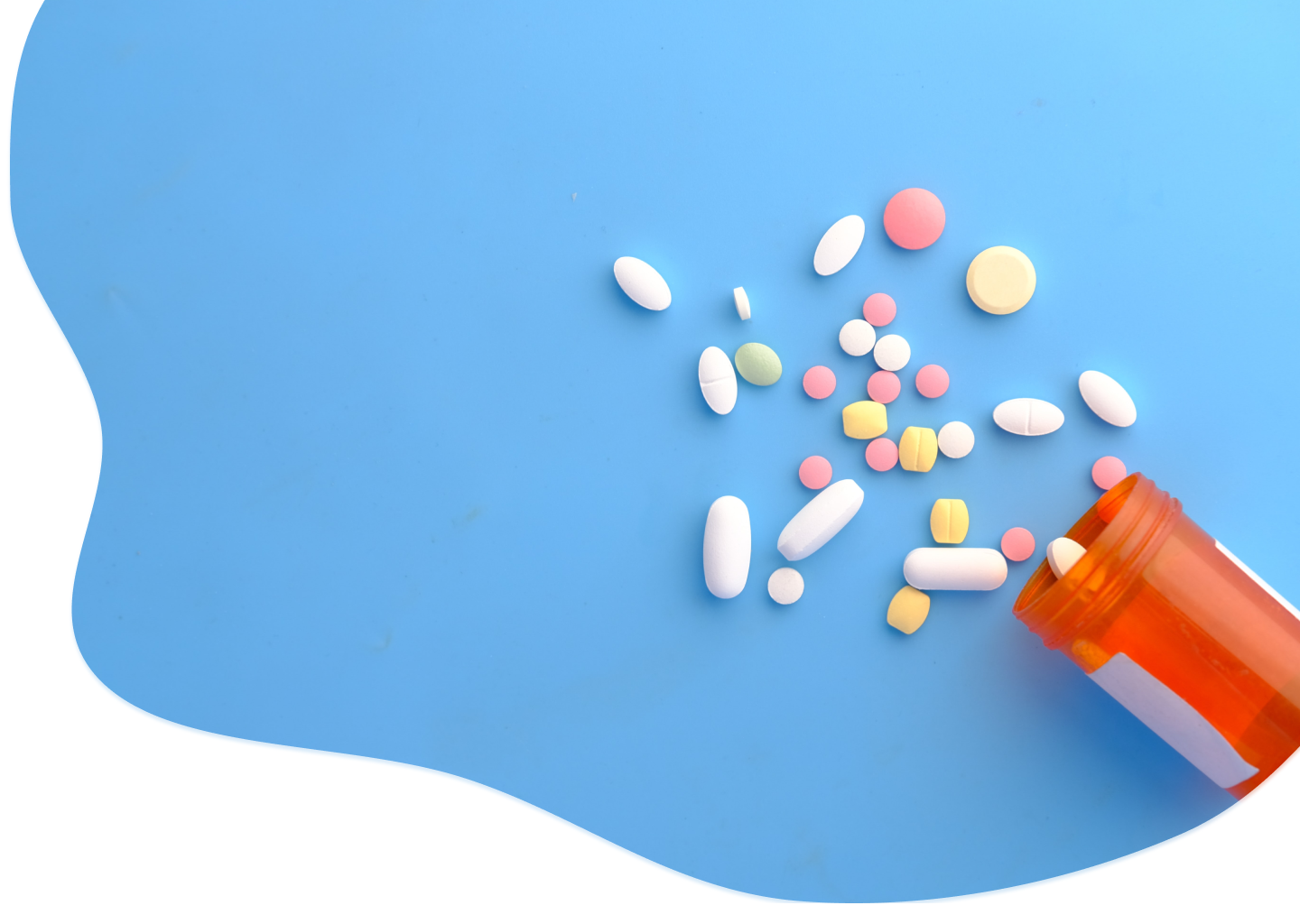 Bsoft | Pílulas de Conhecimento